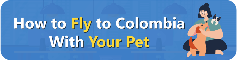 How to Get Driver's License in Colombia - Medellin Lawyer